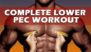 Complete Lower Pec Workout For A Bigger Chest
