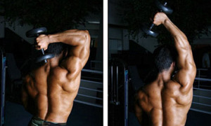 The Top 5 Tricep Long Head Exercises For Thicker Arms