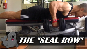 The "Seal Row": A Unique Exercise For A Bigger Back
