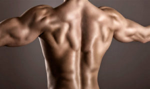 6 Uncommon Exercises For A Thick, Muscular Back