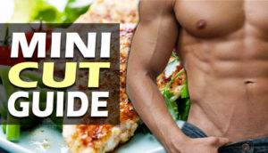 How To "Mini Cut" And Lose Excess Fat During A Bulk