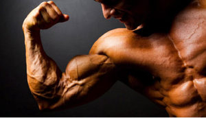 20 Cheap Bodybuilding Foods To Build Muscle On A Budget