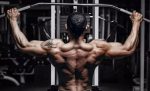 Training Each Muscle Once Per Week: Effective Or Waste Of Time?