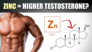 Does Zinc Increase Testosterone Levels?